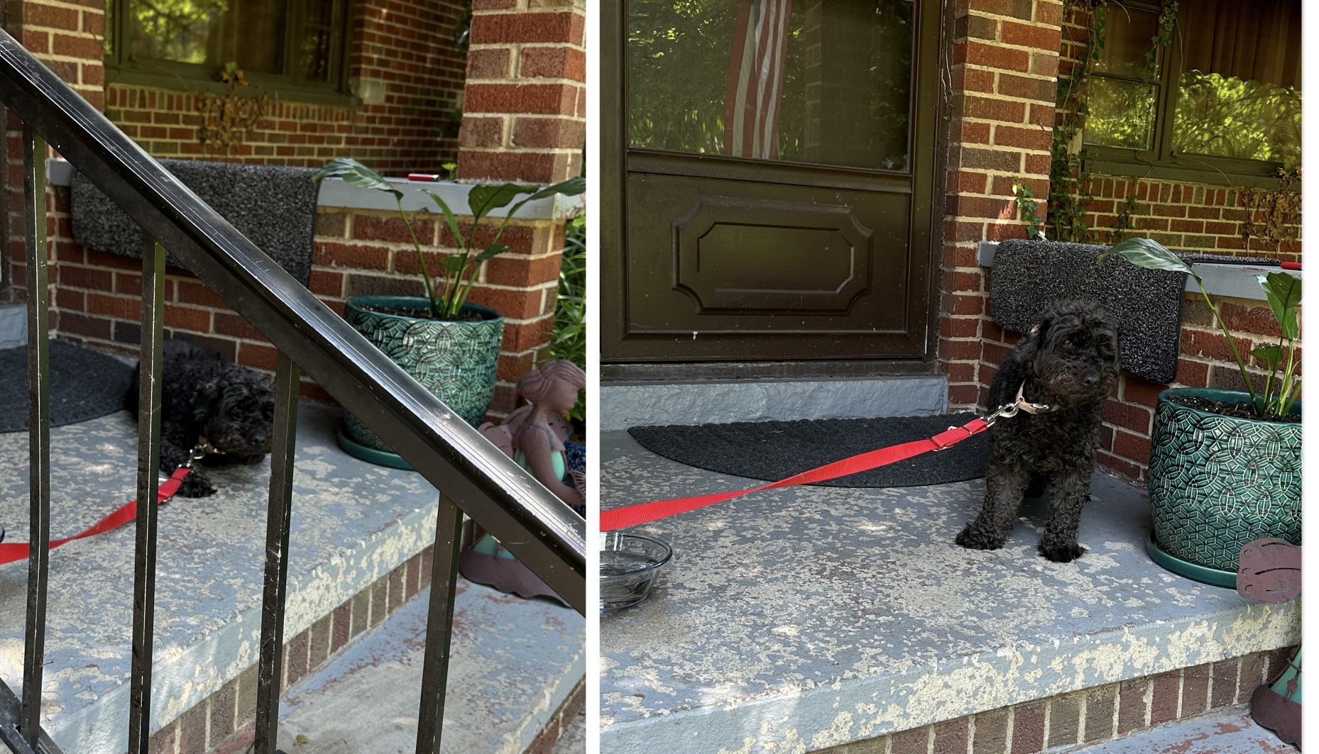 300 Skunked Again – Grateful, Thankful, and Trusting God!